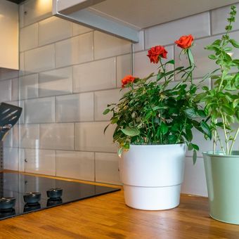 Foto : Apakah Ubin Dinding Dapur Bisa Dicat? Ini Penjelasannya Halaman 3