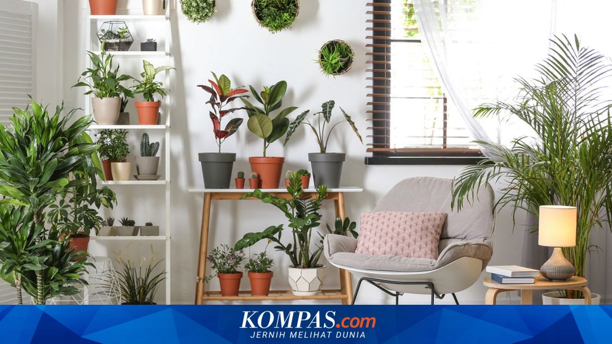 6 Tanaman Hias Termahal, Ada Capai Rp10 Miliar