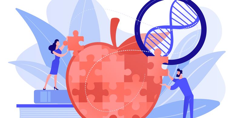 Organisme Transgenik: Pengertian dan Proses Pembuatannya