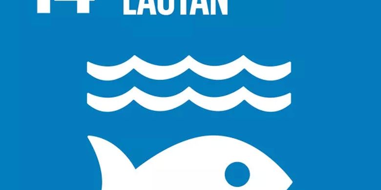 Mengenal Tujuan 14 SDGs: Ekosistem Lautan