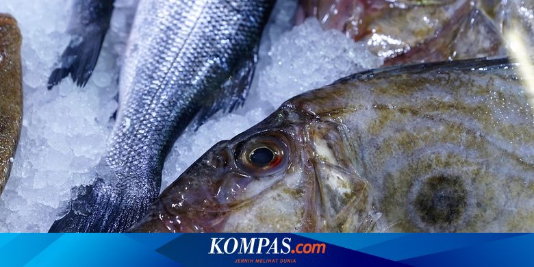 Apa Itu Ikan Dori? Bentuknya Aneh tapi Cocok Dimasak Beragam Hidangan