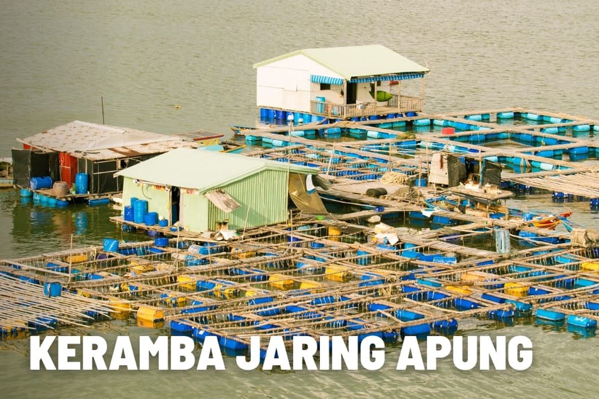Keramba Jaring Apung: Pengertian dan Komponen-komponennya