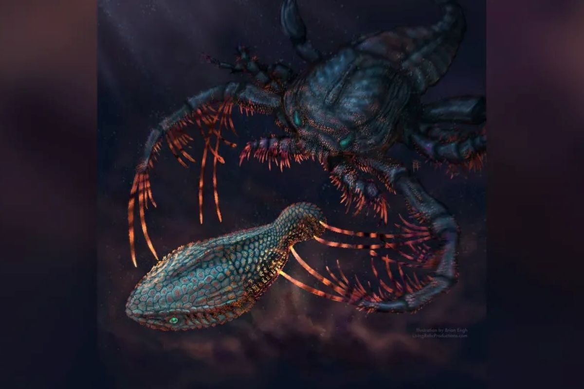 Peneliti: Gigi Manusia Berevolusi Dari “Baju Zirah” Ikan Purba