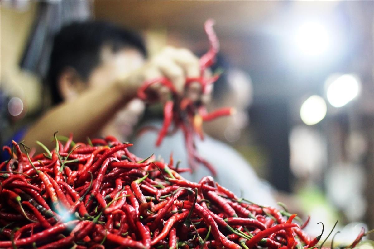 Ini Tips Sukses Petani Cabai Milenial Raih Omzet Puluhan Juta