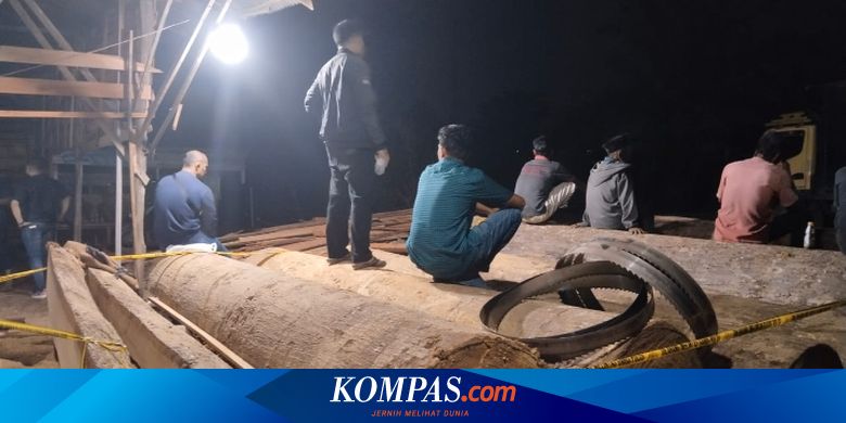 Polisi Gerebek Tempat Pengolahan Kayu Ilegal di Kampar Riau, 5 Orang Ditangkap