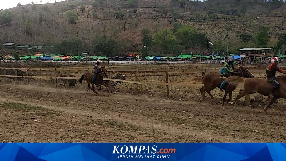 2 Joki Cilik di Bima Terjatuh Saat Ajang Pacuan Kuda