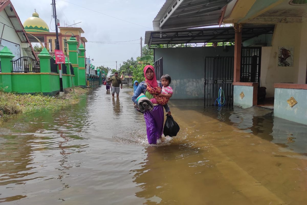 Bencana Banjir Demak, Data BNPB Ungkap 600 Hektare Sawah Terendam