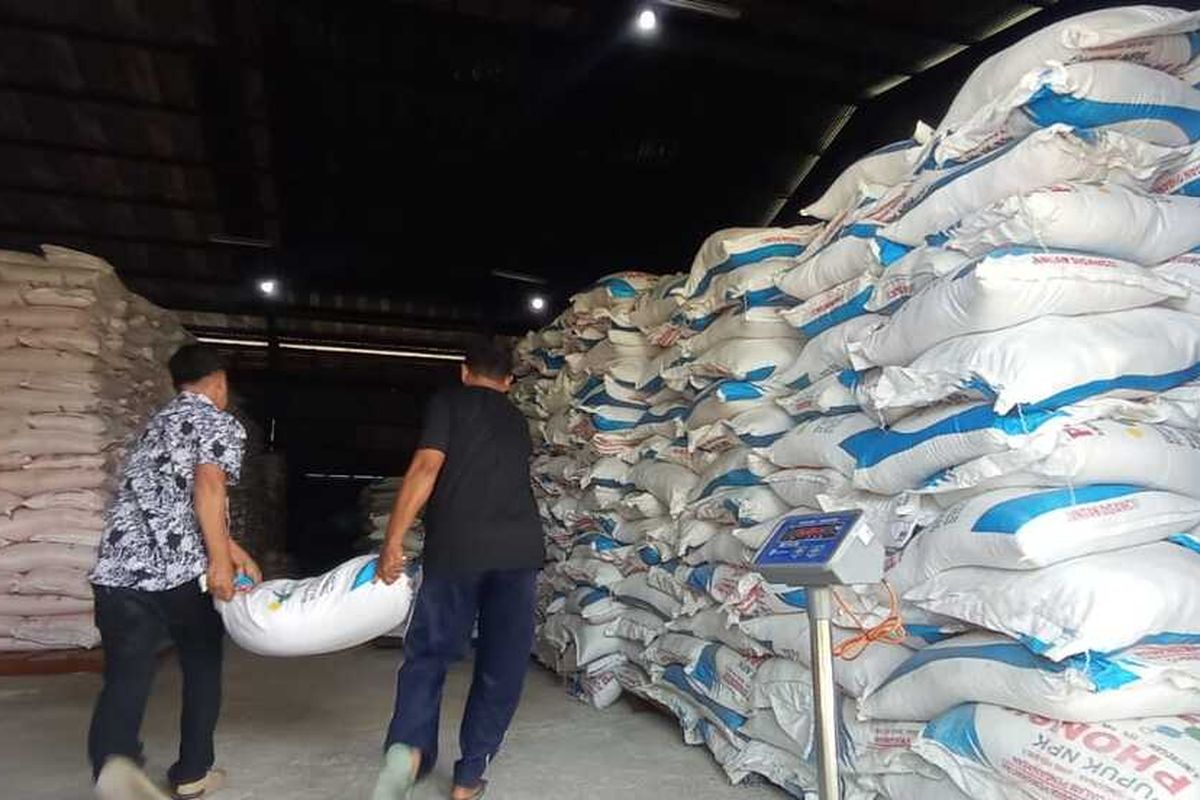 Sudah Turun, Ini Daftar Harga Pupuk Subsidi 2026