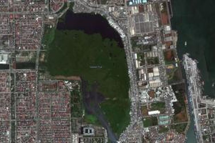 Basuki: Di Jakarta Utara, Harus Ada 3 Waduk Seluas Waduk Pluit