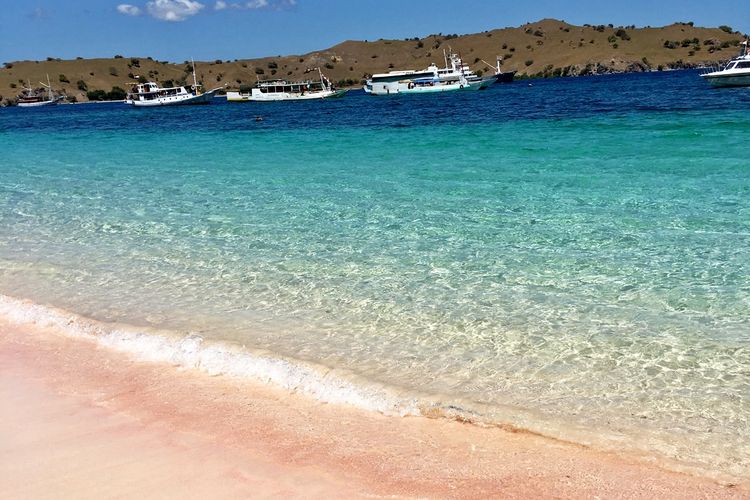 Keindahan Panorama 'Pink Beach' Pantai Merah di Pulau Komodo