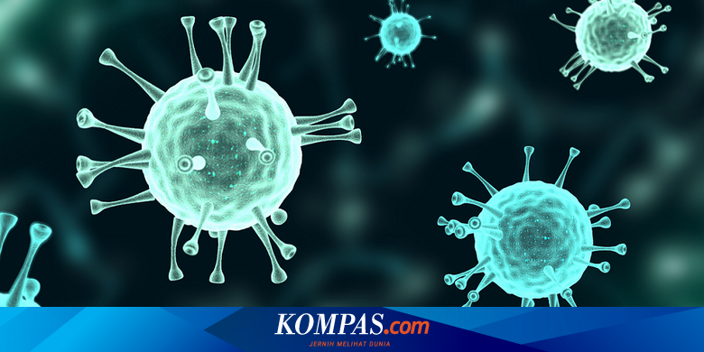 36 Virus Baru Muncul di Peternakan China, Ada yang Berisiko Tinggi ...