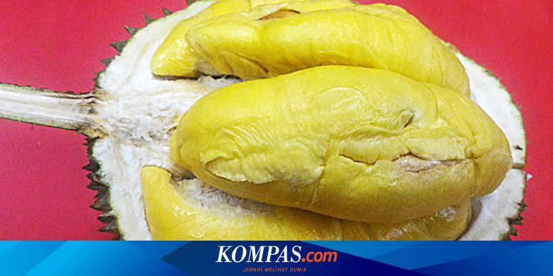 Durian Musang King, Durian Manis dengan Daging Legit dan Creamy