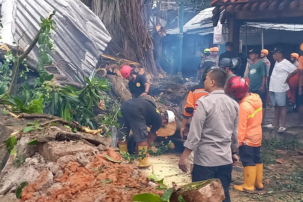 Pohon Beringin Berusia 100 Tahun di Masjid Yogyakarta Tumbang Akibat ...