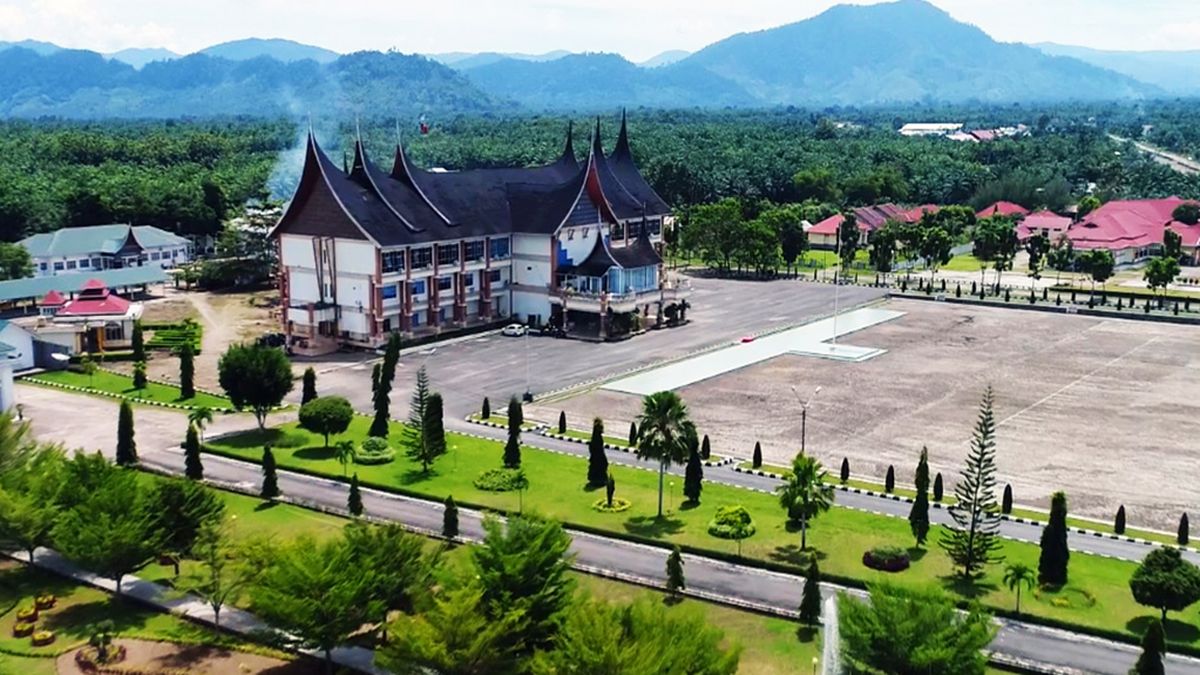 ASN Dilarang Jadi Influencer, Pemkab Pasaman Barat Batasi Aktivitas ...