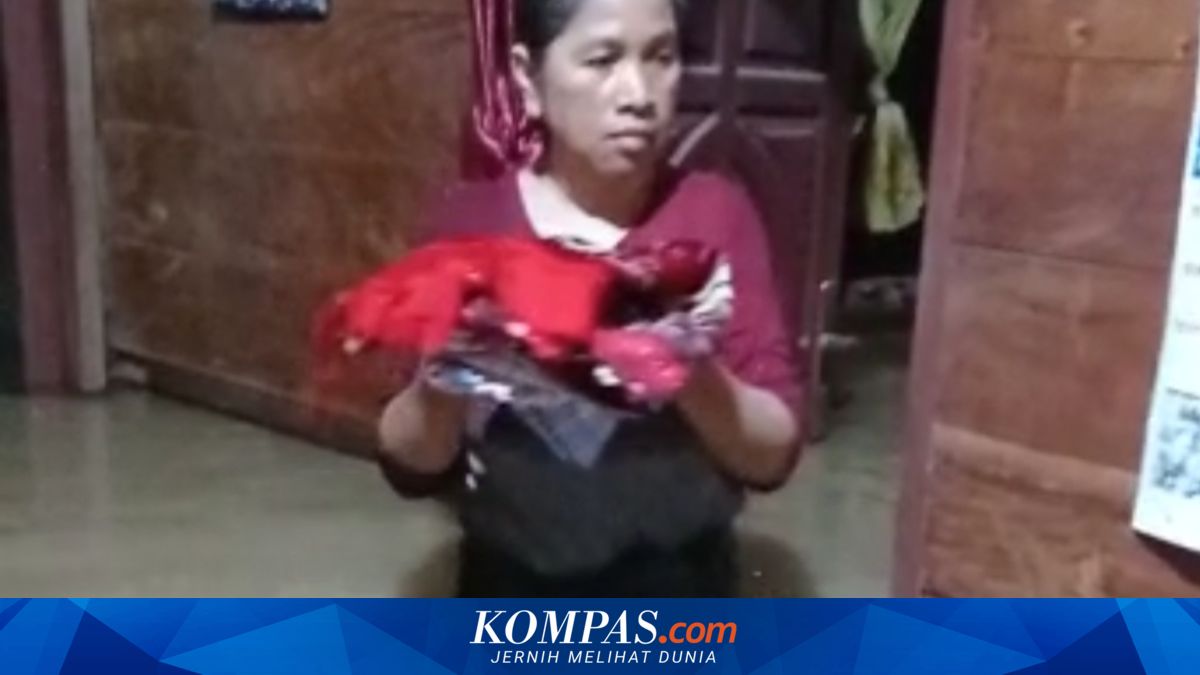 Banjir Pesisir Selatan Surut, 1.500 KK Kembali ke Rumah