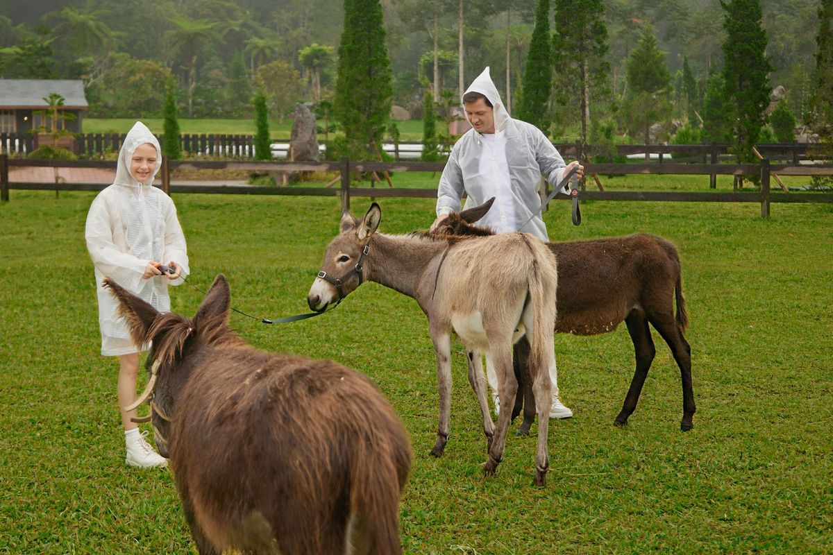 Rute Menuju ke Bali Farm House