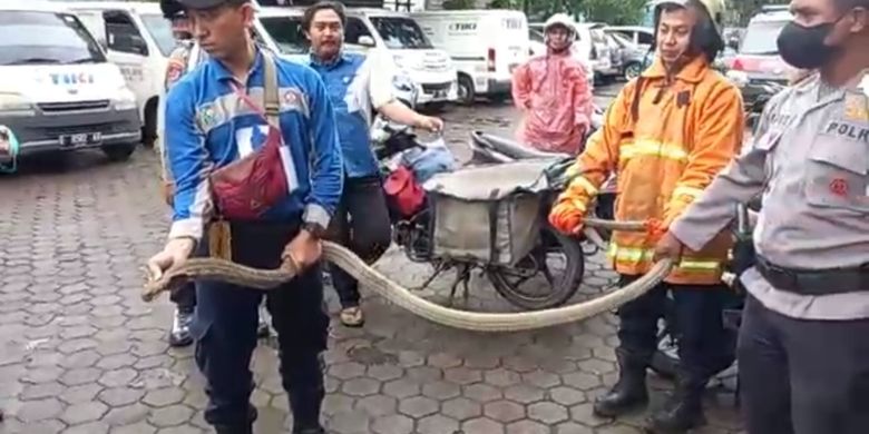 Berita Harian Exalos Indonesia Terbaru Hari Ini - Kompas.com