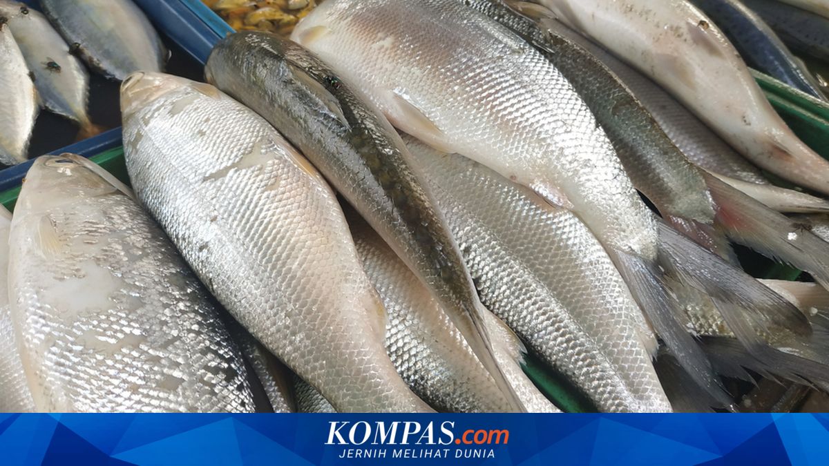Harga Bahan Pokok Jumat 10 Januari 2025, Harga Ikan Bandeng dan Ikan ...