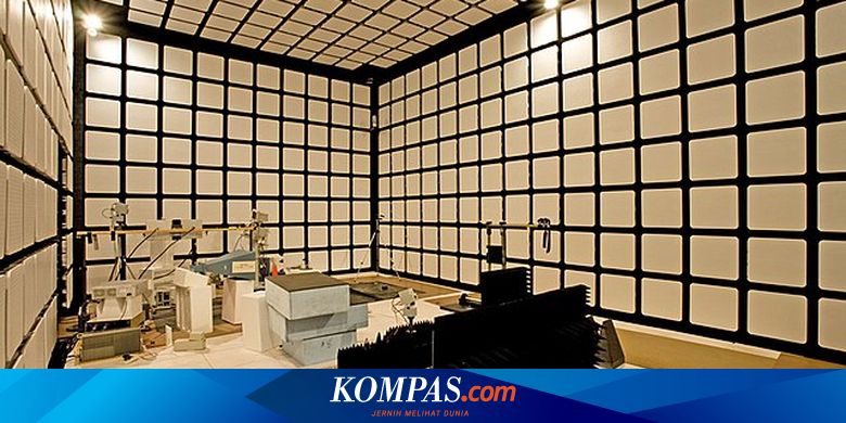 Di Ruang Paling Sunyi di Dunia, Anda Bisa Mendengar Aliran Darah Menuju ...