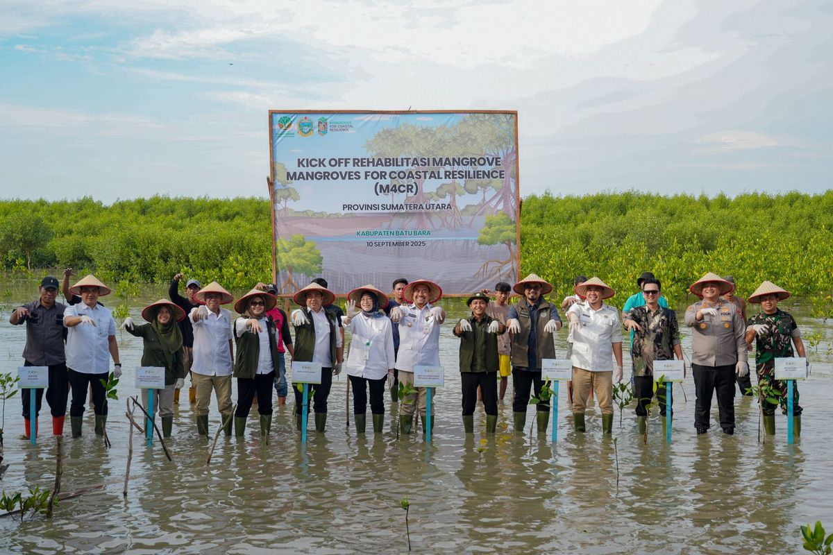 Kick Off M4CR, Menhut Targetkan Rehabilitas Mangrove Seluas 15.387 Hektar