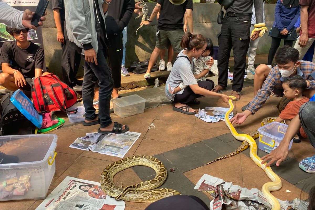 Mengenal Komunitas Satwa Eksotik Semarang, Edukasi Masyarakat dengan Binatang
