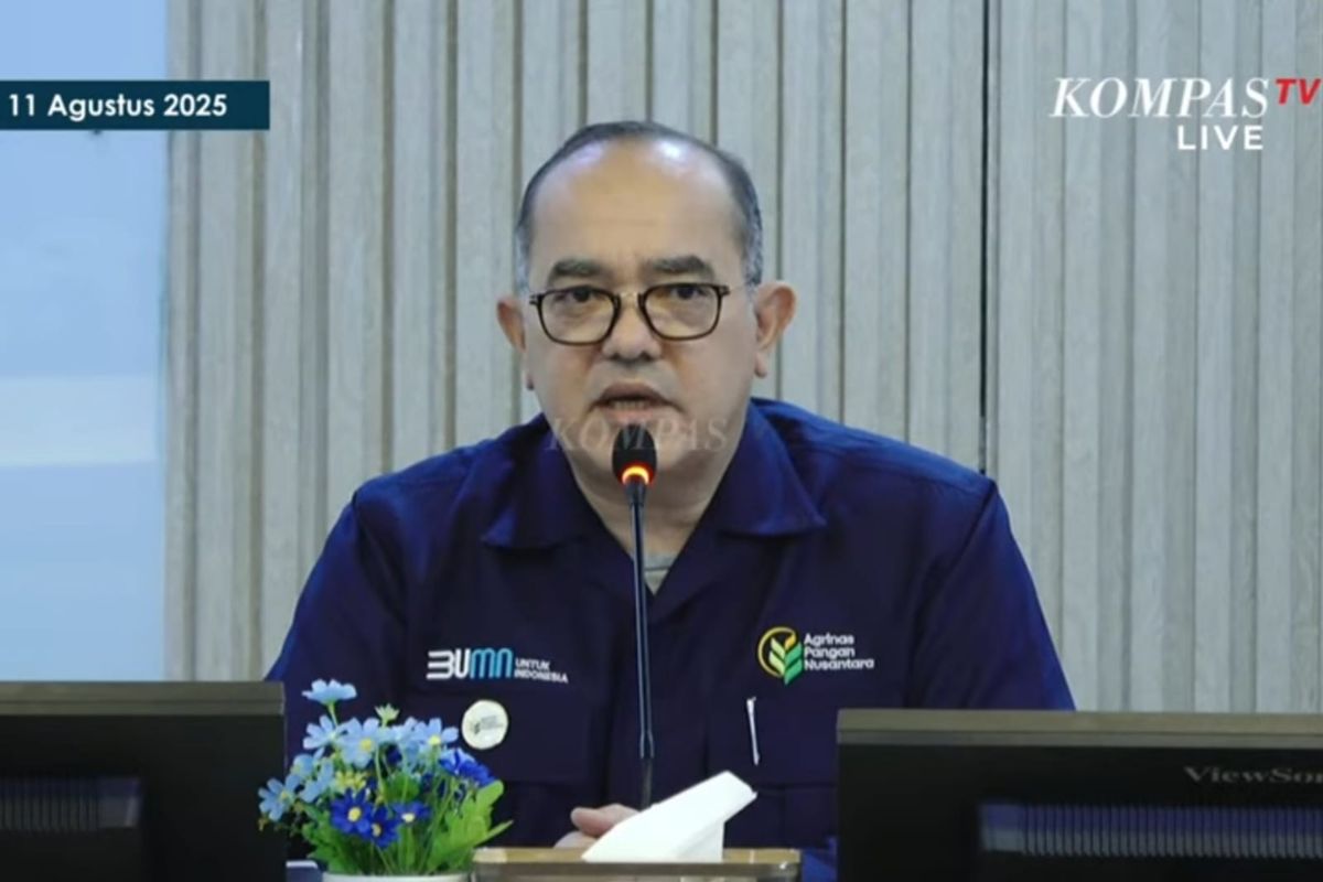 Bos Danantara Janji Transisi Mulus Usai Dirut Agrinas Joao Mota Mundur