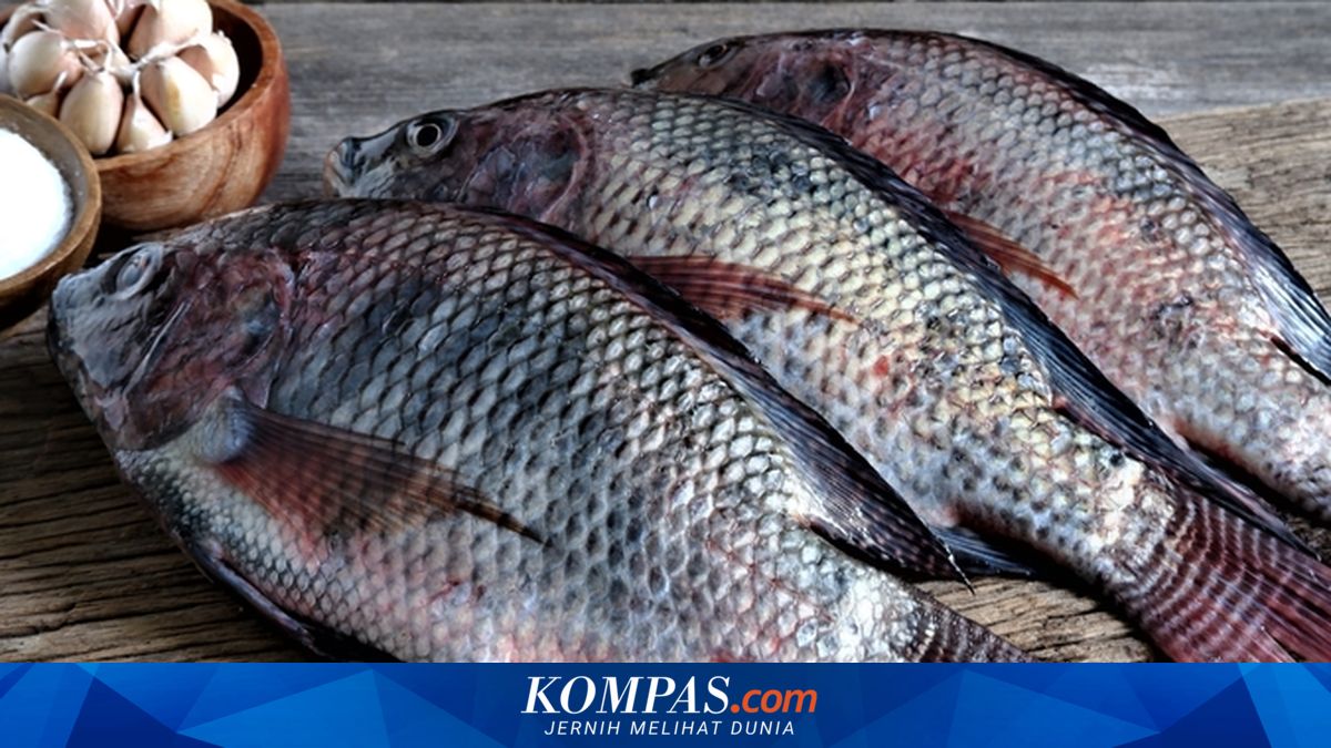 Dianggap Bikin Alergi, Ikan Justru Punya Nutrisi Penting Bagi Tubuh