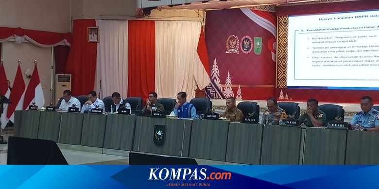Kebakaran Hutan Makin Meningkat, Riau Tetapkan Status Tanggap Darurat