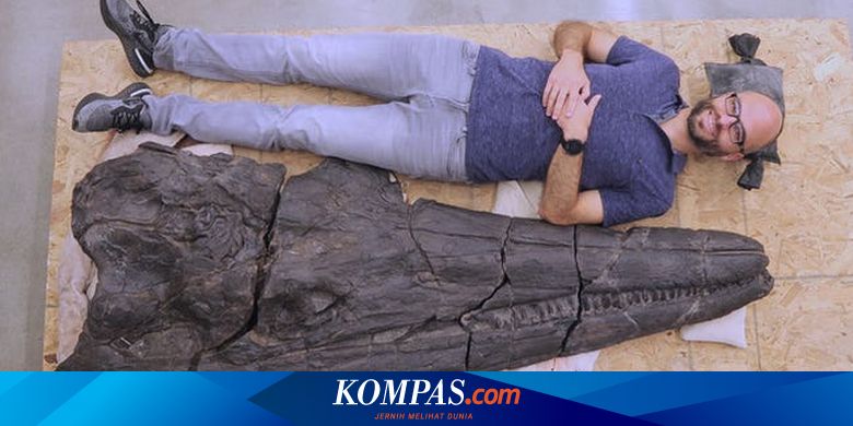 Kepala Monster Laut Raksasa Ditemukan, Ukurannya Sepanjang Pria Dewasa