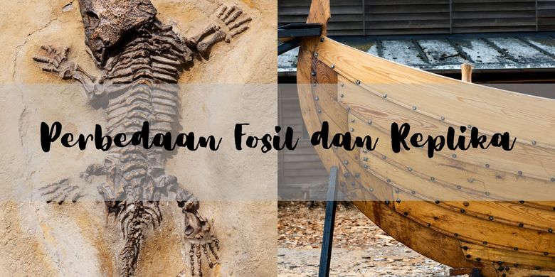 Perbedaan Fosil dan Replika