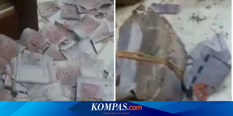 Nenek Simpan Uang Hampir Rp 1 Miliar di Kaleng Susu, Hancur Dimakan Serangga