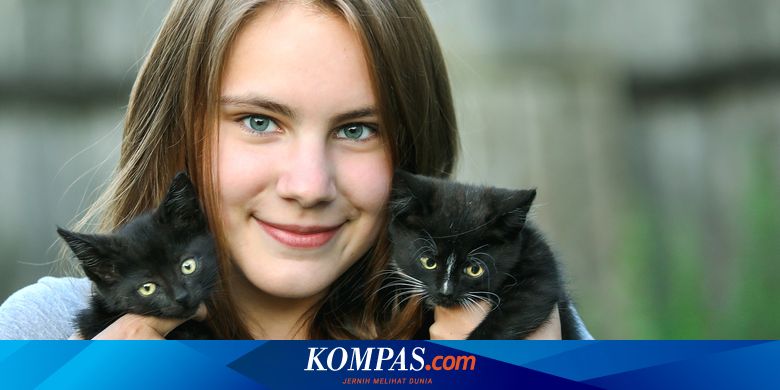 Berita Terkini Harian Kucing Memahami Suasana Hati Pemiliknya Terbaru ...