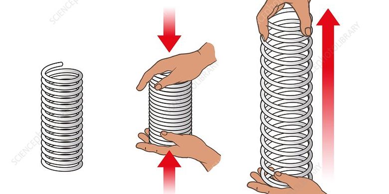 Mengenal Prinsip Modulus Young