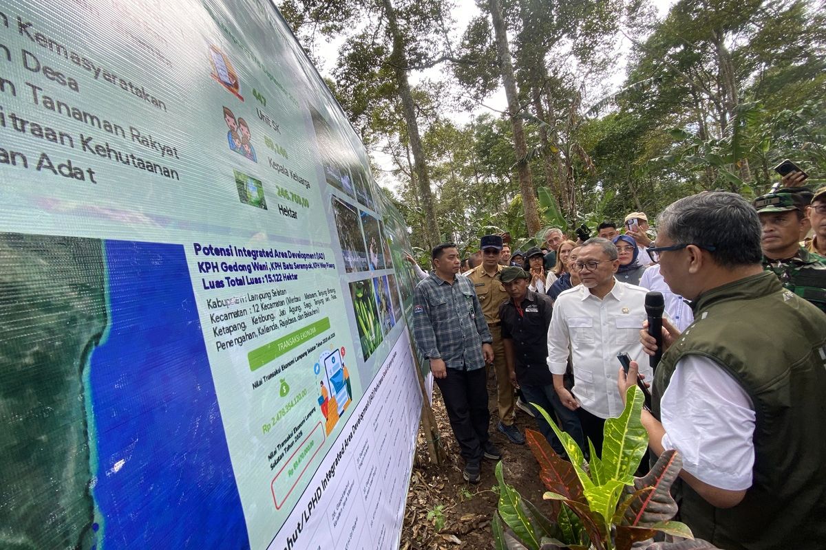 Menko Zulhas dan Dubes Bagikan 3.000 Bibit Kopi ke Petani Hutan Sosial ...