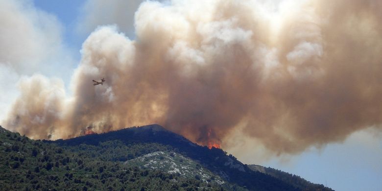 Apa yang terjadi Jika Banyak Menghirup Asap Kebakaran Hutan?