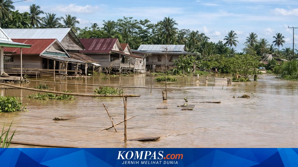 Tanggul Sungai Rongkong Jebol, Banjir Terbesar 2026 Rendam Permukiman ...