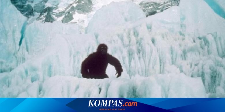 Makhluk Misterius Yeti, Manusia, Beruang, atau Mitos Semata?