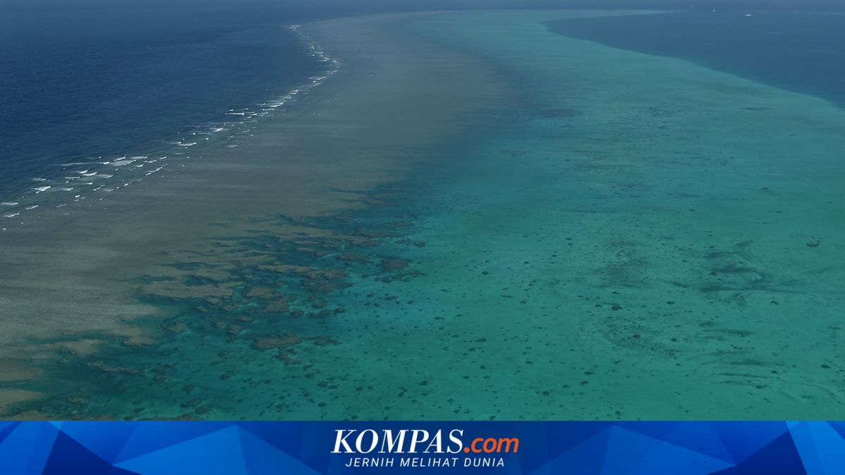 2 Negara ASEAN Bersatu Jaga Laut China Selatan, Teken Pakta Pertahanan