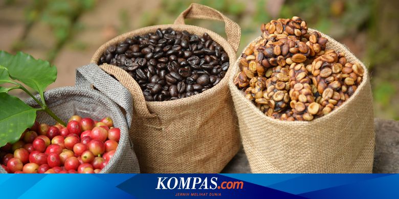 3 Jenis Kopi Populer di Indonesia, Mana Favoritmu?