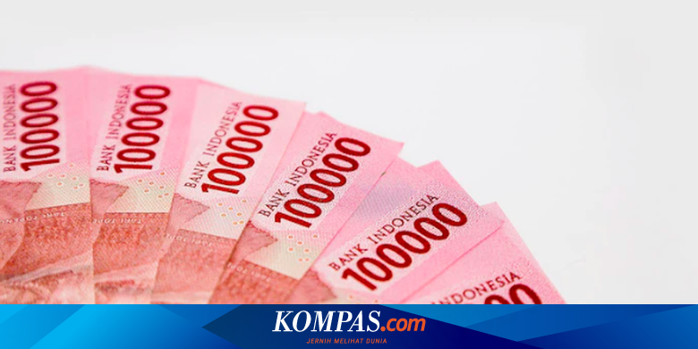 Apa Itu SBN? Ini Pengertian dan Jenisnya