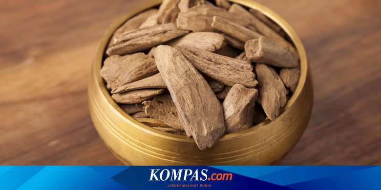 Gaharu, Kayu Mahal yang Memberikan Banyak Manfaat
