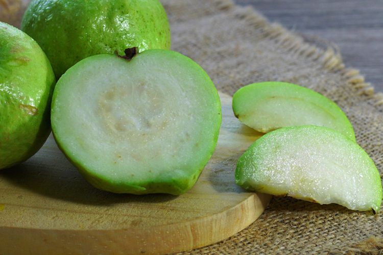 Cara Budidaya Jambu Kristal