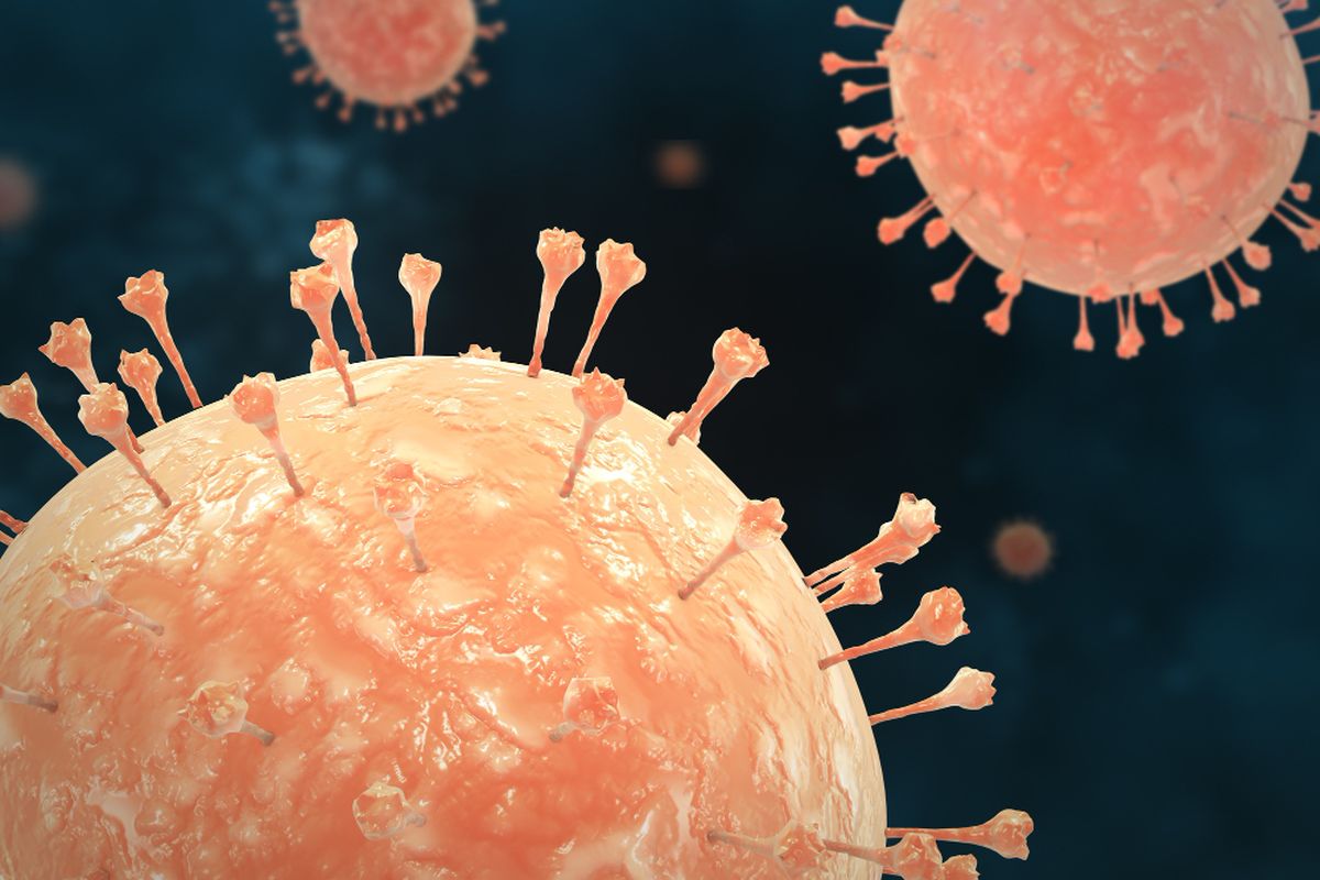 Waspada Virus Nipah, BKK Padang Fokus Skrining Digital dan Vaksinasi ...