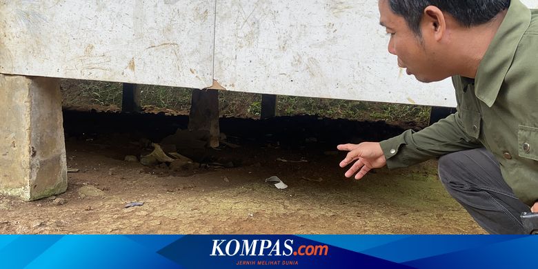 Tetangga Ungkap Ortu Raya Bocah Sukabumi yang Tubuhnya Dipenuhi Cacing ...