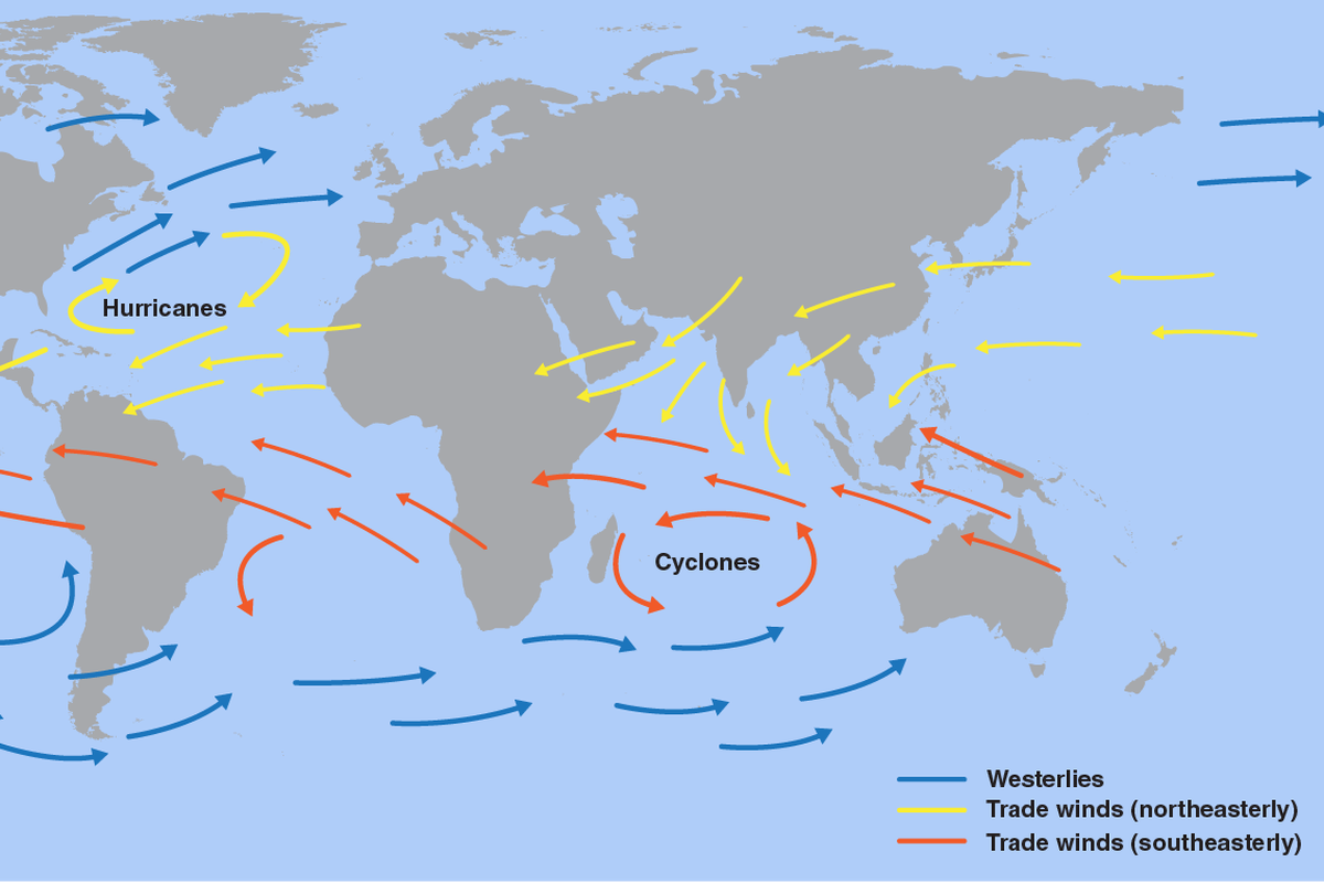 Apa Itu Angin Pasat? Ini Proses Terbentuk, Jenis, dan Dampaknya