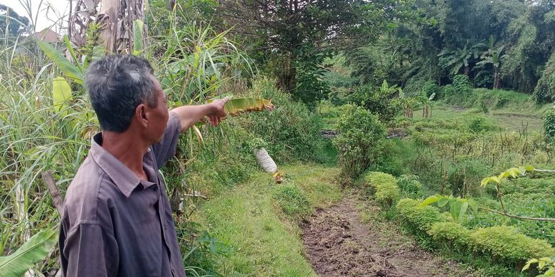 Berita Harian 2 Maling Tertangkap Curi Cabai Siap Panen Terbaru Hari ...