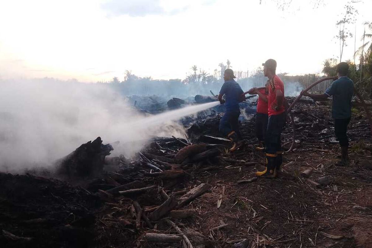 Kisah Damkar Lewati Idul Adha demi Tujuh Hari Lawan Api Tumpukan Kayu ...