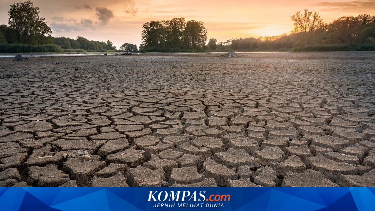 BPBD: Lombok Tengah Tetap Siaga Kekeringan Hingga Akhir Bulan Ini