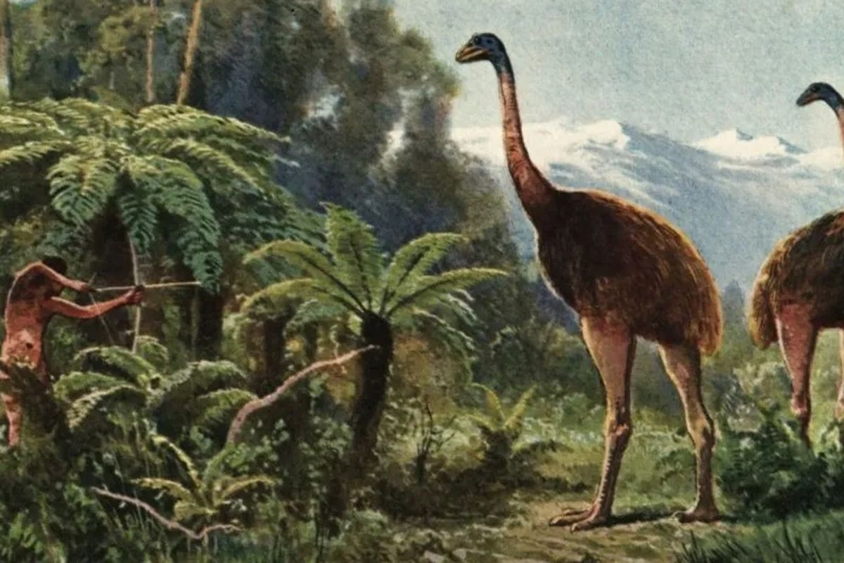 Burung Raksasa Purba Moa Akan Dihidupkan Kembali dalam 10 Tahun?