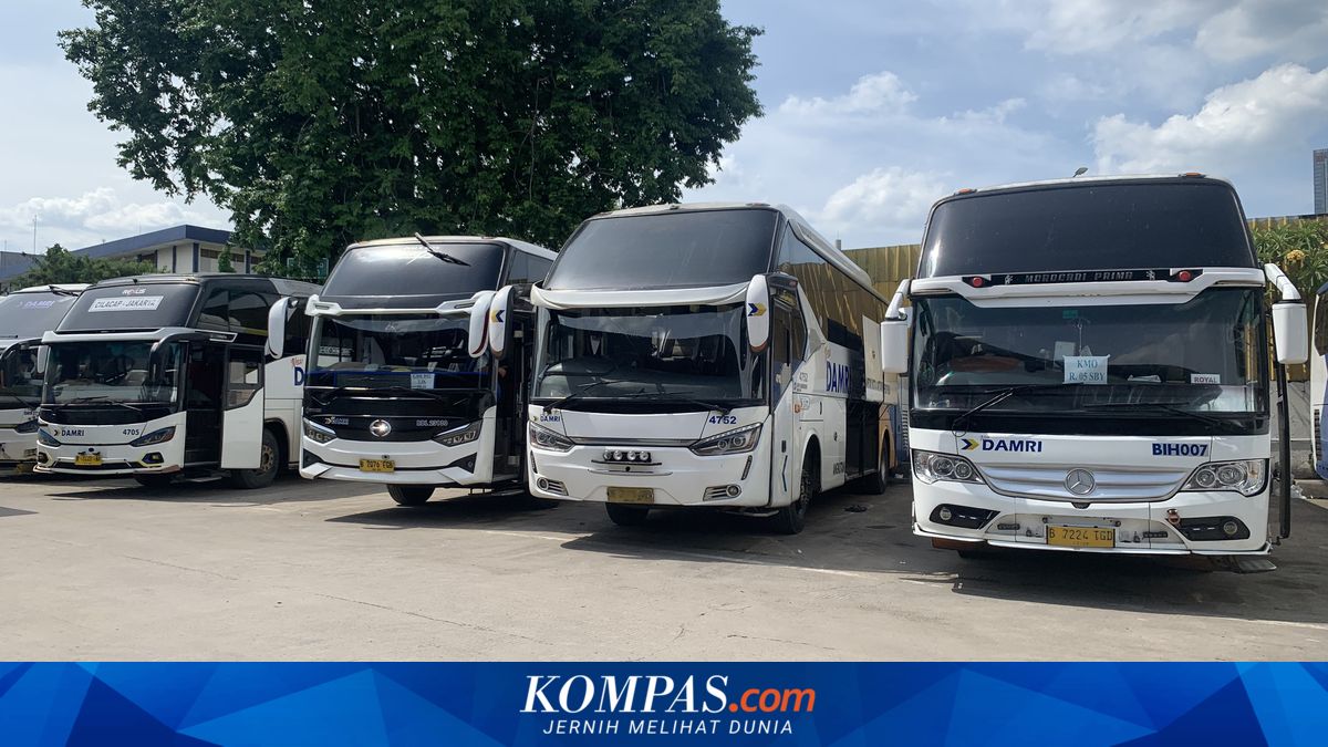 DAMRI Beri Angkutan Gratis Rute Padang dan Bukittinggi, Cek Jadwalnya